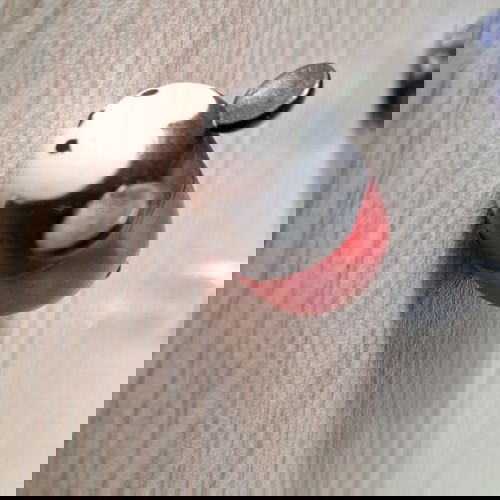 Συλλογή Kinder Stranger Things, Disney… - € 10,00 - Vendora.gr