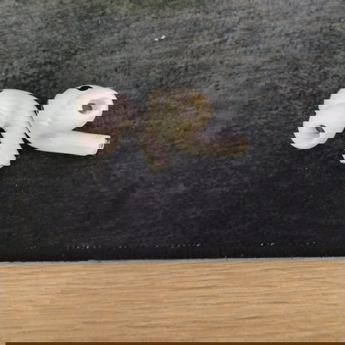 Apple AirPods Pro (1st Gen) In-ear σαν… - € 50,00 - Vendora.gr