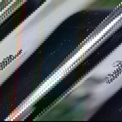 Lambidis Original Silverware δίσκος… - € 40,00 - Vendora.gr