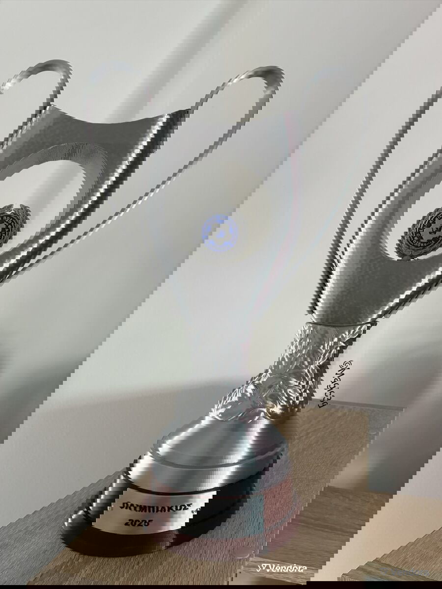 Κύπελλο Ελλάδος 2025 Ολυμπιακός… - € 30,00 - Vendora.gr