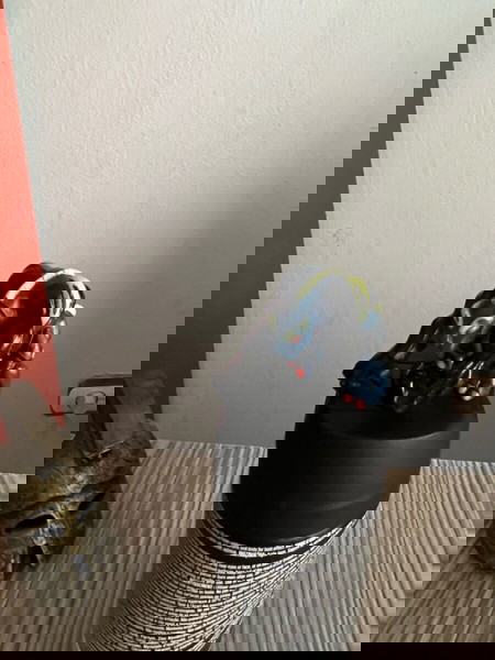 Gormiti Figure - € 4,00 - Vendora.gr