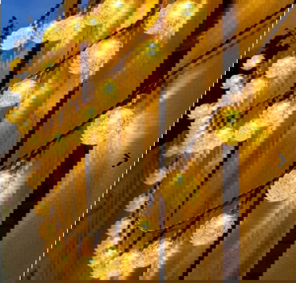 Χριστουγεννιάτικη Γιρλάντα LED με… - € 11,00 - Vendora