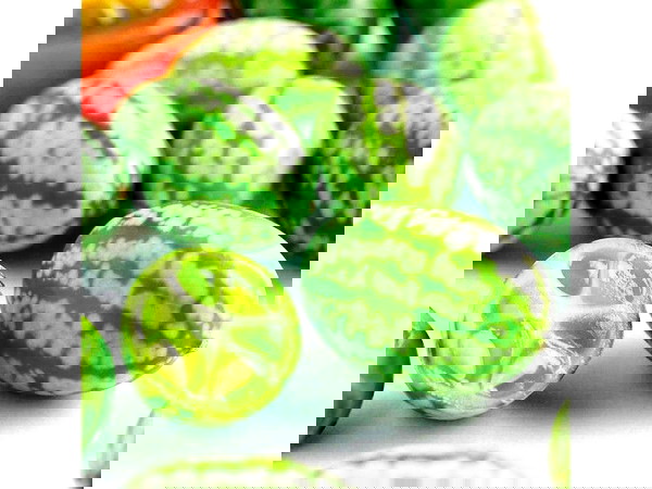 20 Σποροι Μεξικανικο Μινι καρπουζι - € 6,00 - Vendora