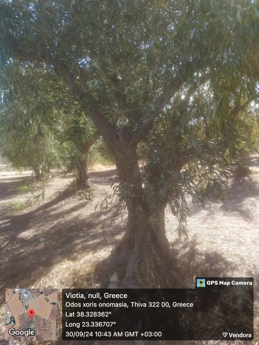 Οικόπεδο 17 στρεμμάτων με αποθήκες,… - € 42.000,00 - Vendora.gr