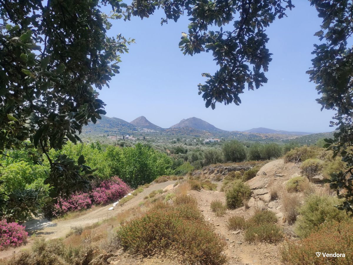 ΠΩΛΕΙΤΑΙ ΤΟΥΡΙΣΤΙΚΗ ΕΠΙΧΕΙΡΗΣΗ… - € 20.000,00 - Vendora