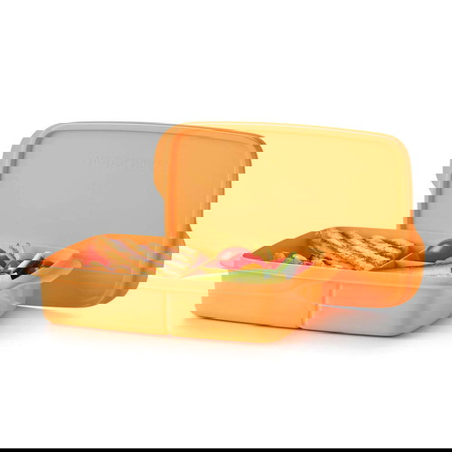 Σετ Tupperware δοχείο φαγητού 1 λίτρο με… - € 24,00 - Vendora.gr